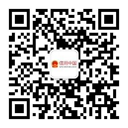 重点领域信息查询_信息公示_信用中国